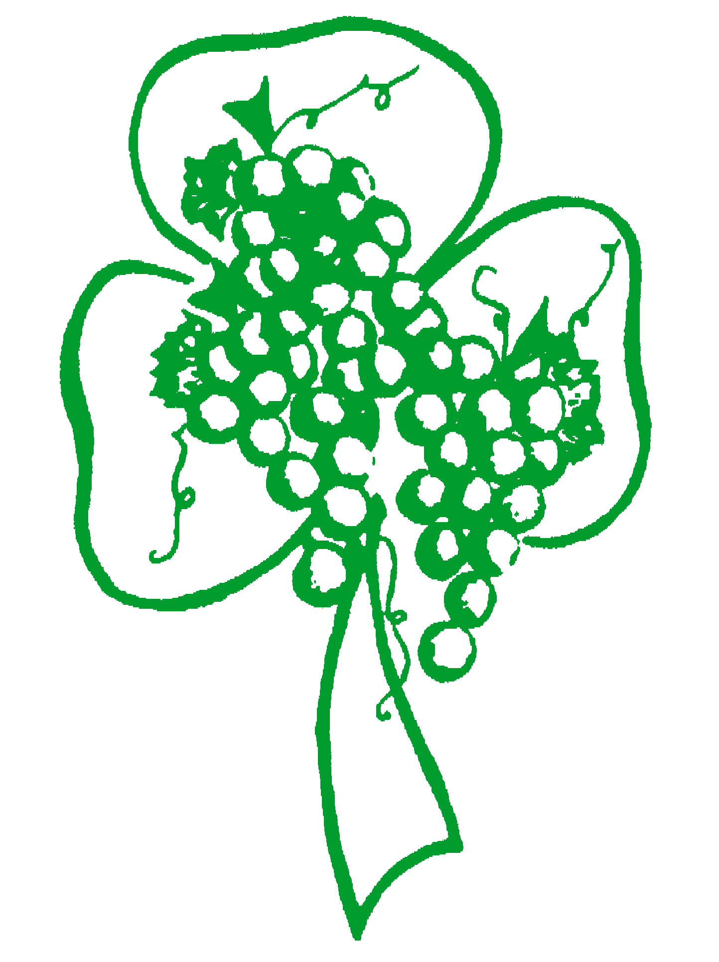ShamrockVineyard – Central Ohio's Oldest Vines